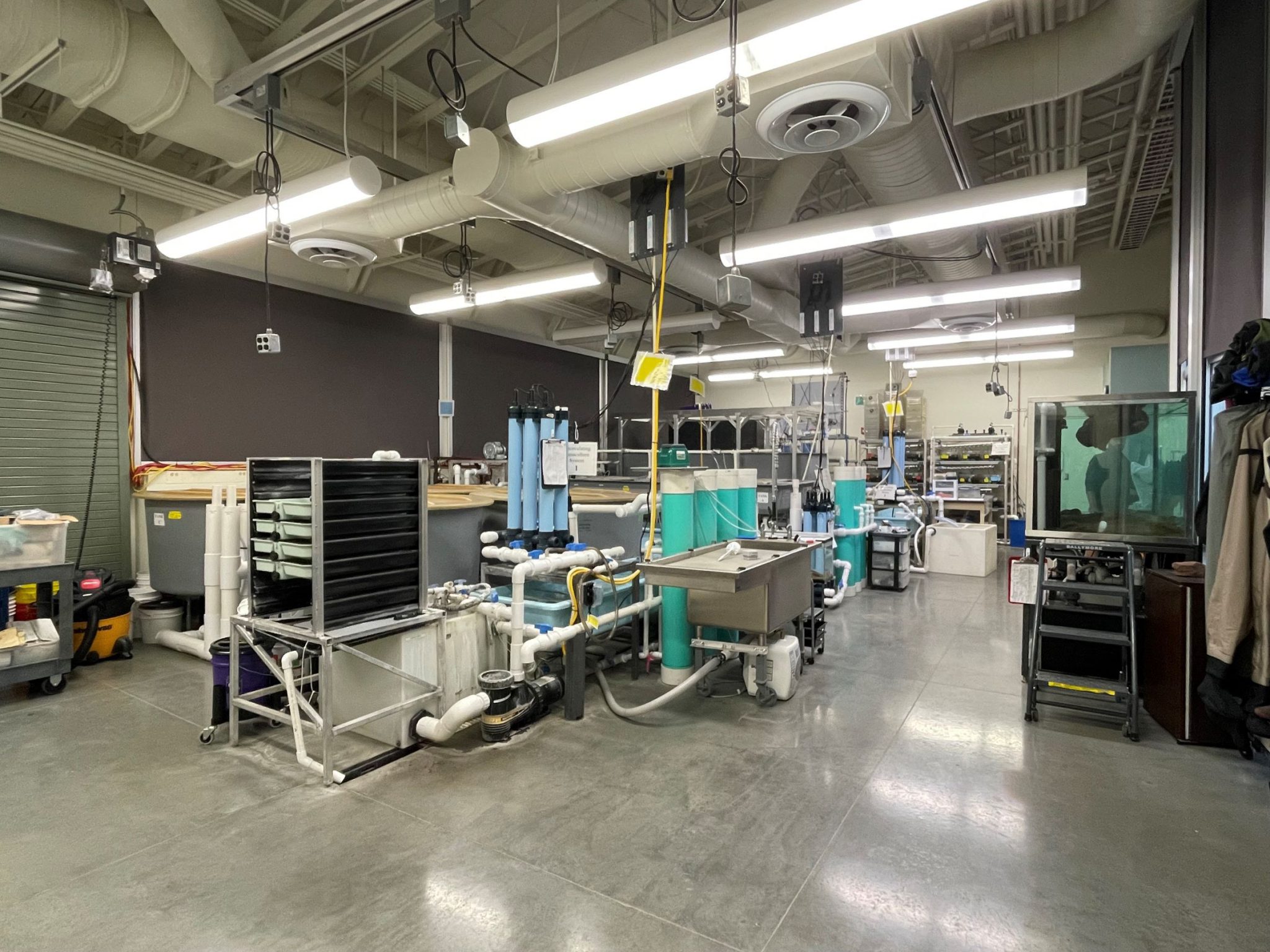 Project Overview – CTUIR Freshwater Mussel